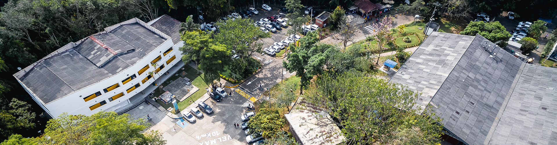 Programas Académicos :: Programas Académicos