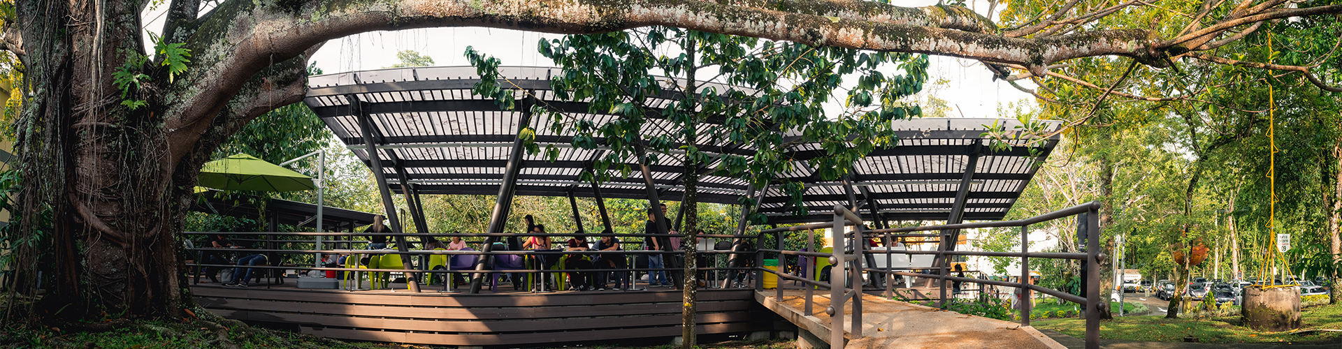 Programas Académicos :: Programas Académicos